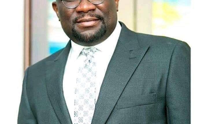 Hanan Joins Npp National Council Sparks Excitement The Publisher Online